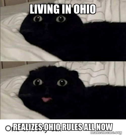 living in ohio realizes ohio rules all now - bamboozle Meme Generator
