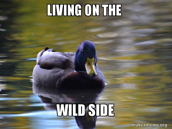living on the wild side - Zen Advice Mallard Meme Generator