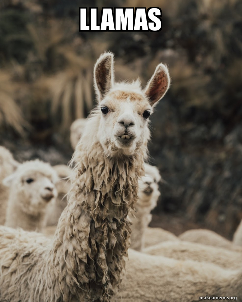 Llamas Meme Generator