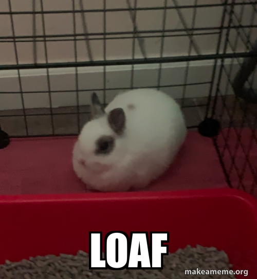 loaf Meme Generator