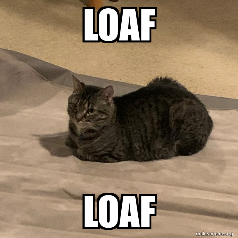 loaf loaf Meme Generator