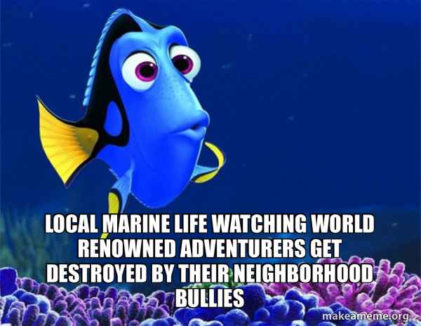 Local marine life watching world renowned adventurers get destroyed by ...