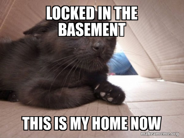 Locked in the Basement This is my home now - Schitzo Cat Meme Generator