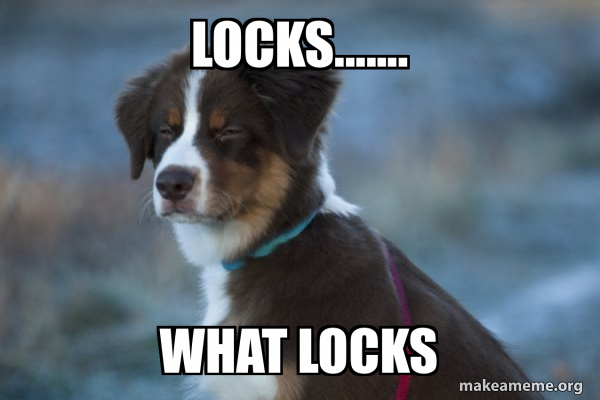 LOCKS....... WHAT LOCKS - Unsure Dog Meme Generator