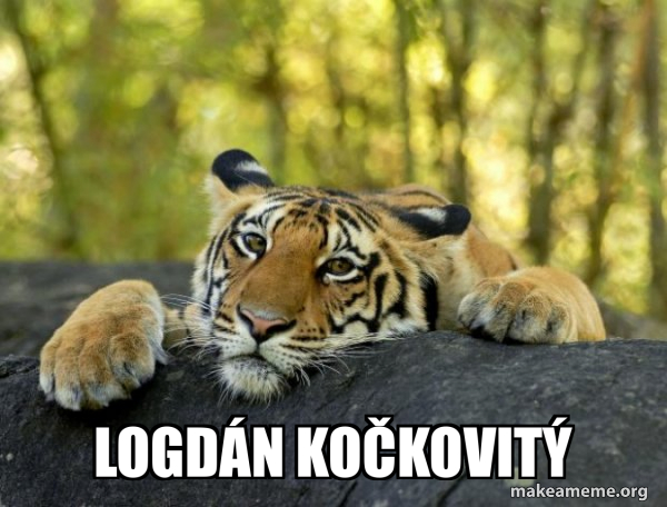 LOGDÁN KOČKOVITÝ - Confession Tiger Meme Generator