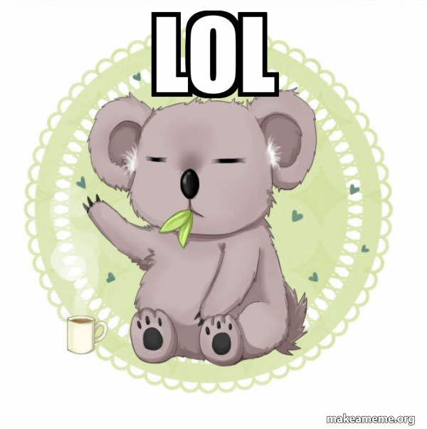 lol - Aussie Koala doing the night shift Meme Generator