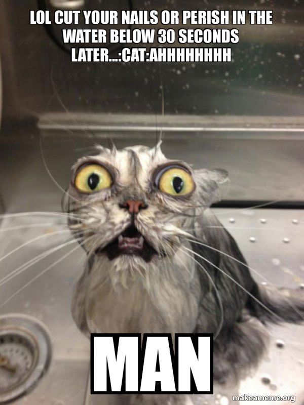 LOL CUT YOUR NAILS OR PERISH IN THE WATER BELOW 30 seconds later...:cat ...