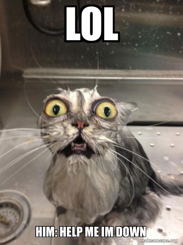 lol him: help me im down - Cat bath Meme Generator