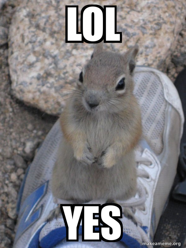 lol yes - Standover Squirrel Meme Generator