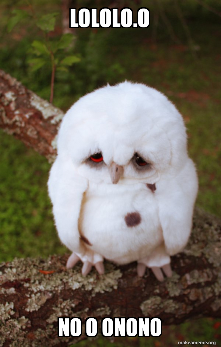 Lololo.o No o onono - Sad Owl Meme Generator