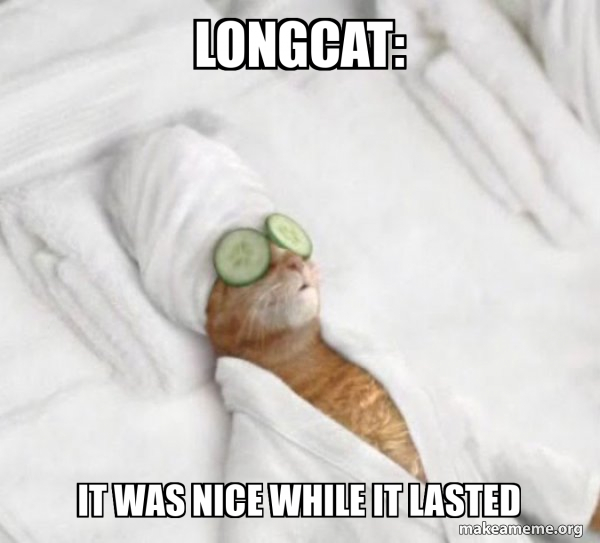 longcat: It was nice while it lasted - Pampered Cat Meme Meme Generator