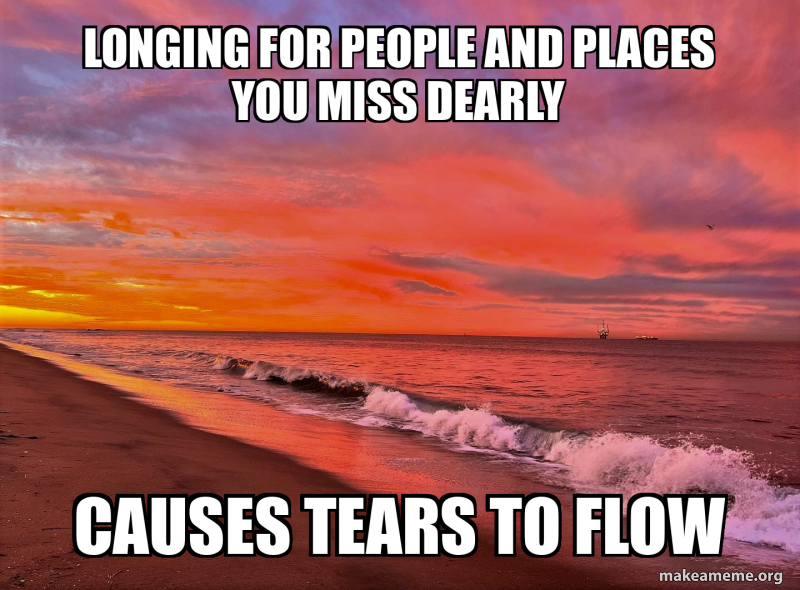 longing for People and places you miss dearly causes tears to flow Meme ...