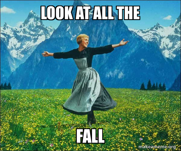 Look at all the fall - Sound of Music Meme Generator