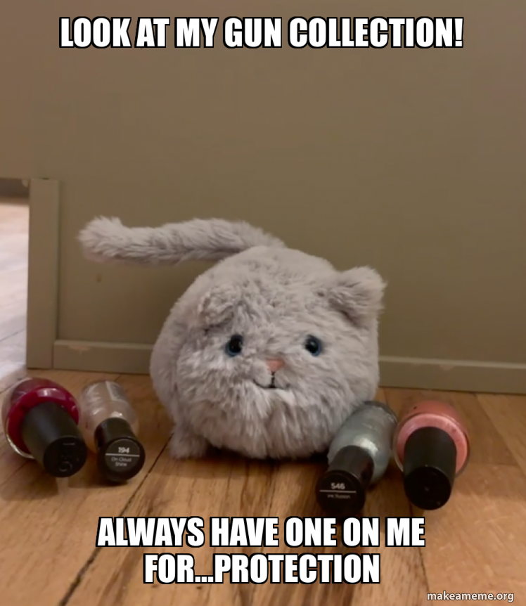 Look at my gun collection! always have one on me for...protection Meme ...