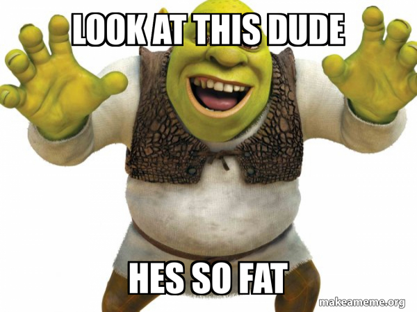look at this dude hes so fat - Shrek | Make a Meme