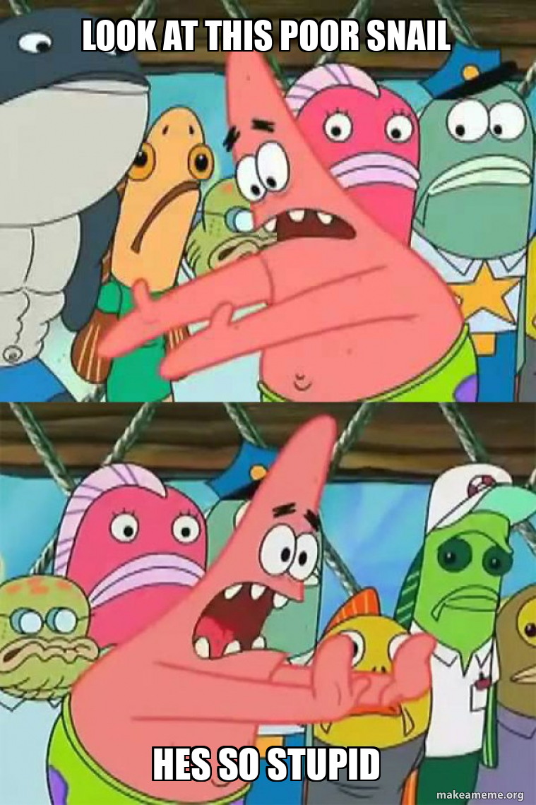 look at this poor snail hes so stupid - Push It Somewhere Else Patrick ...