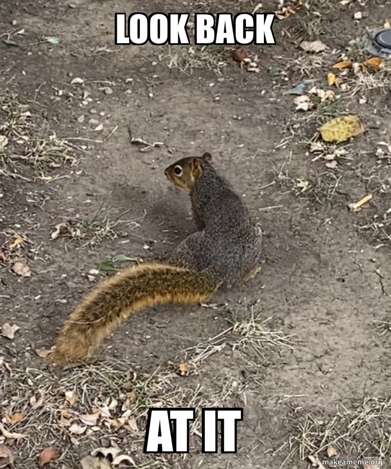 LOOK BACK At IT Meme Generator