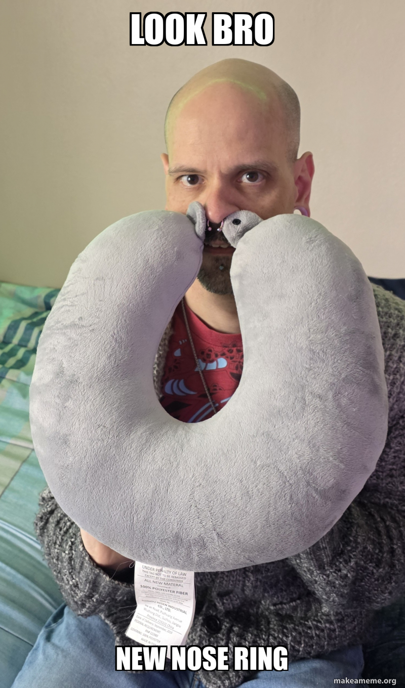 Look bro New nose ring Meme Generator