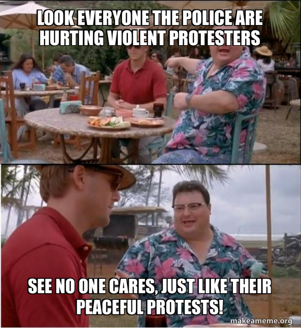 Look everyone the police are hurting violent protesters See no one ...
