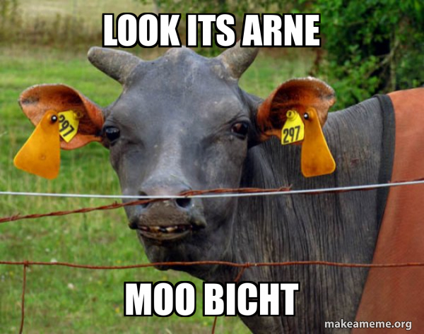 look its arne moo bicht - Hairless Cow Meme Generator