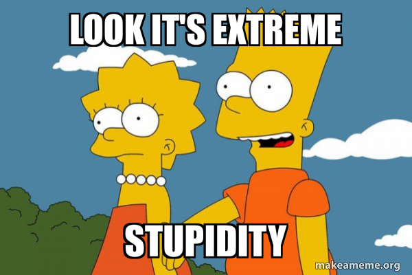 Look it's extreme Stupidity - Bart and Lisa Chat Meme Generator