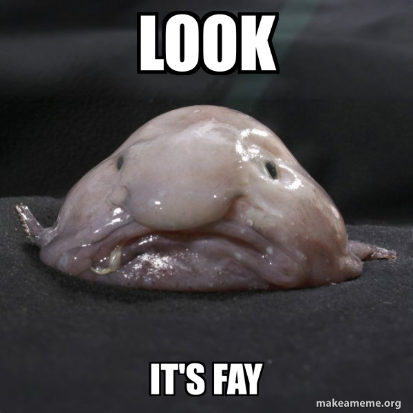 look it's fay - Blobfish Meme Generator