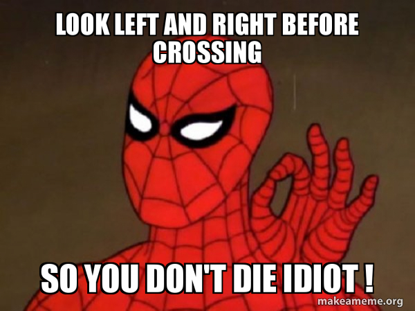 look left and right before crossing so you don't die idiot ...