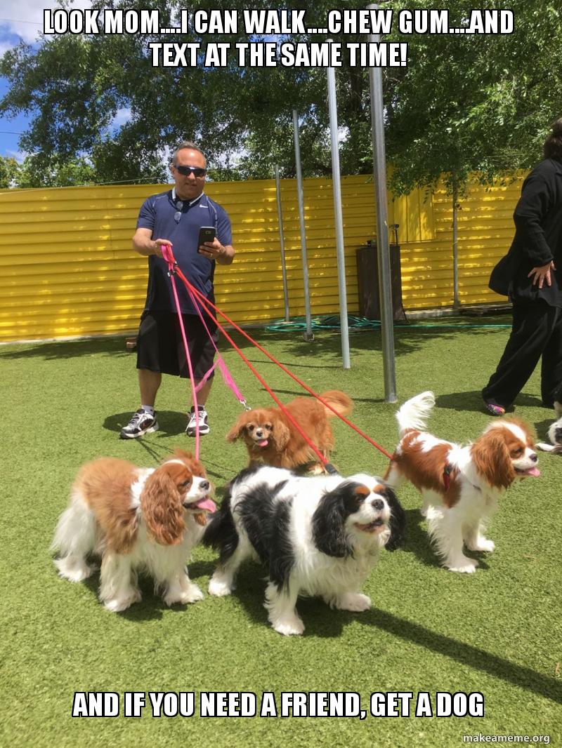 LOOK MOM....I CAN WALK....CHEW GUM....AND TEXT AT THE SAME TIME! AND IF ...