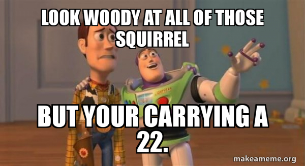 look woody at all of those squirrel but your carrying a 22. - Buzz and ...
