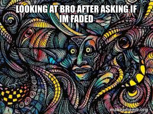 Looking at bro after asking if im faded Meme Generator