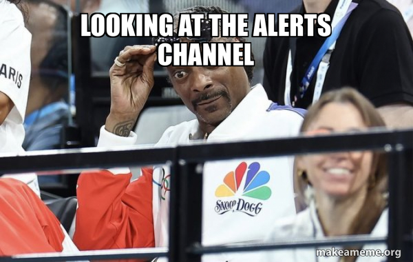 looking at the alerts channel - Snoop Dogg Sunglasses at Olympics Meme ...