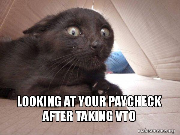Looking at your paycheck after taking VTO - Schitzo Cat Meme Generator
