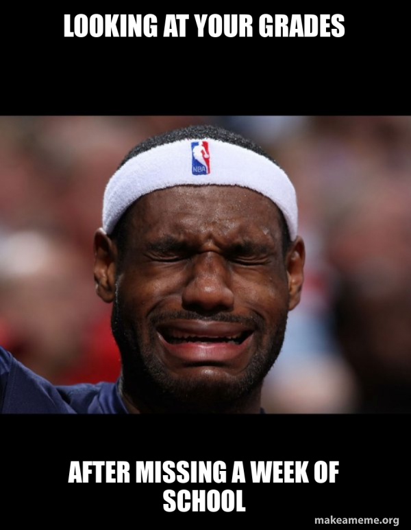 looking at your grades after missing a week of school - Lebron Crying ...