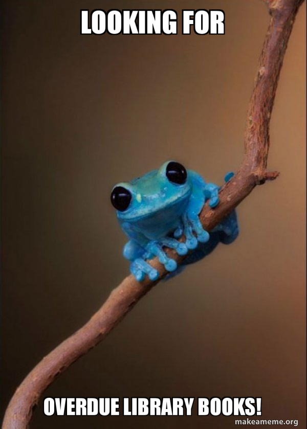 Looking for overdue library books! - Small Fact Frog Meme Generator