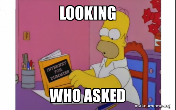 Looking Who asked - Computer Homer Meme Generator
