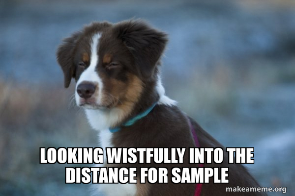 Looking wistfully into the distance for sample - Unsure Dog Meme Generator