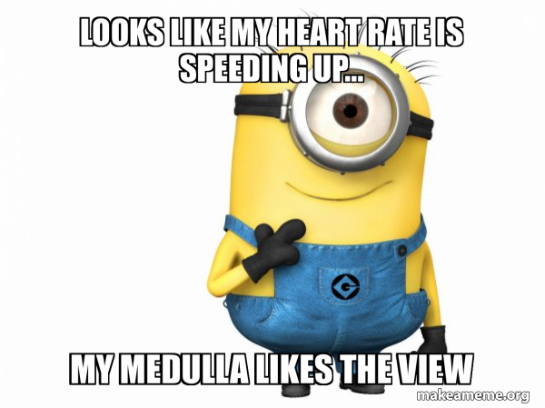 Looks like my heart rate is speeding up... My medulla likes the view ...