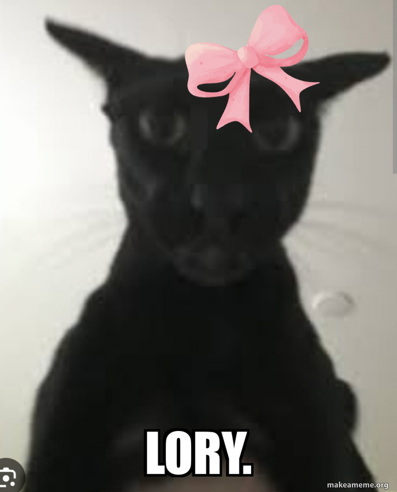 Lory. Meme Generator