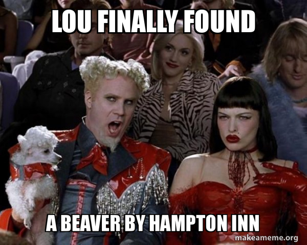 LOU FINALLY FOUND A BEAVER BY HAMPTON INN - So Hot Right Now Meme Generator