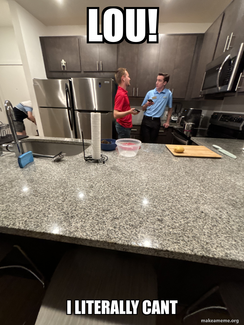 Lou! I literally cant Meme Generator