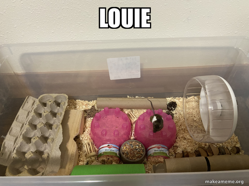 Louie Meme Generator