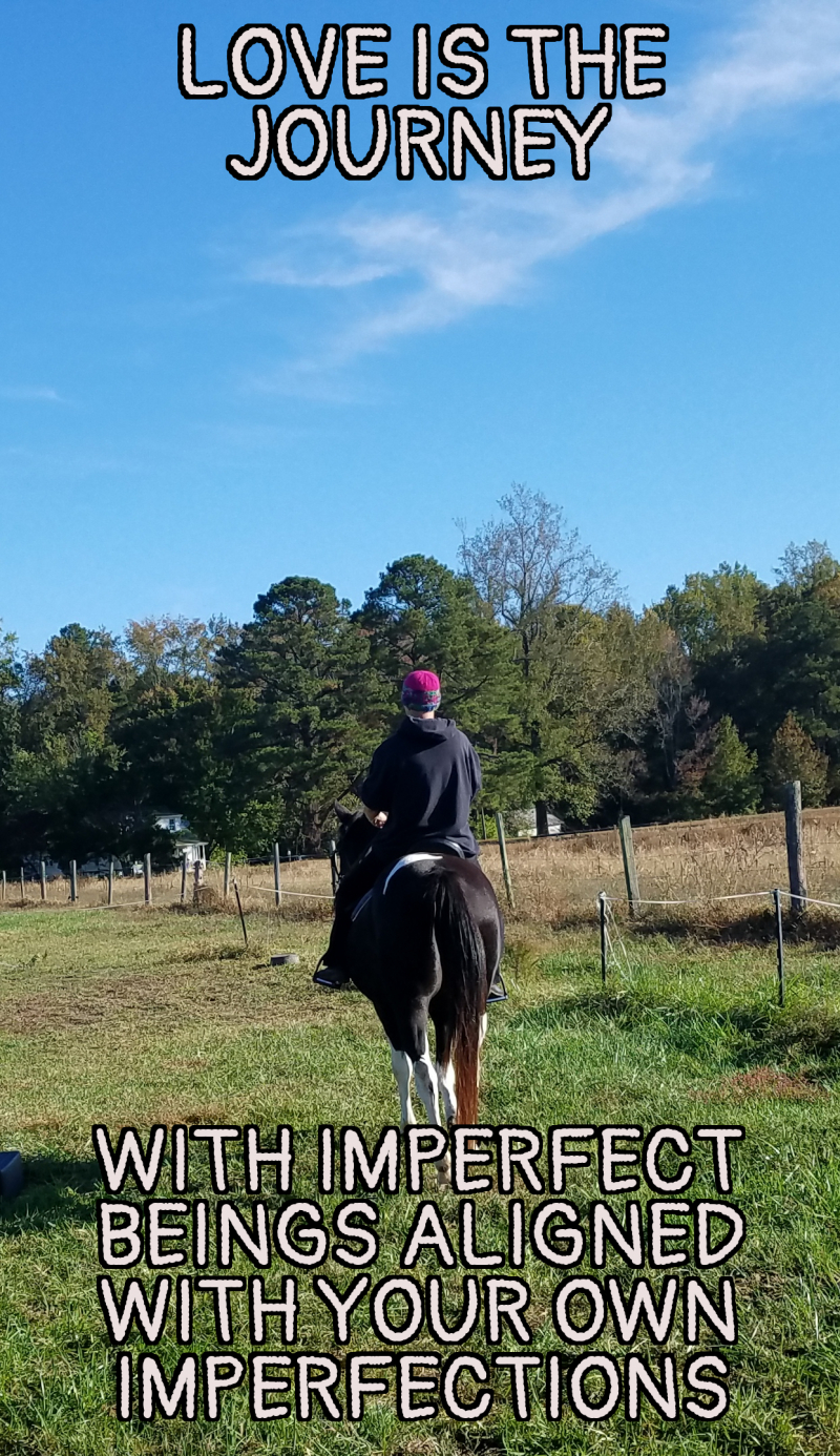 Love is the journey With Imperfect beings aligned with your own ...