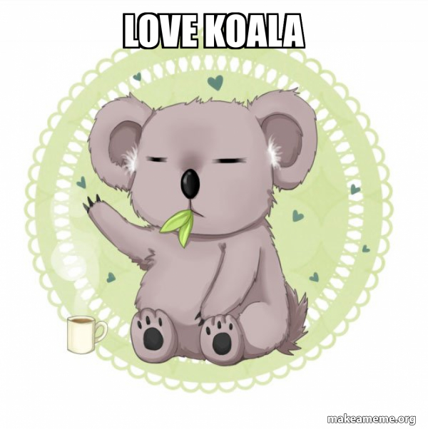 love koala - Aussie Koala doing the night shift Meme Generator