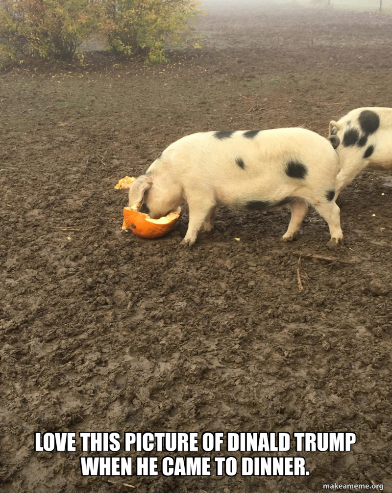 Love this picture of Dinald Trump when he came to dinner. Meme Generator
