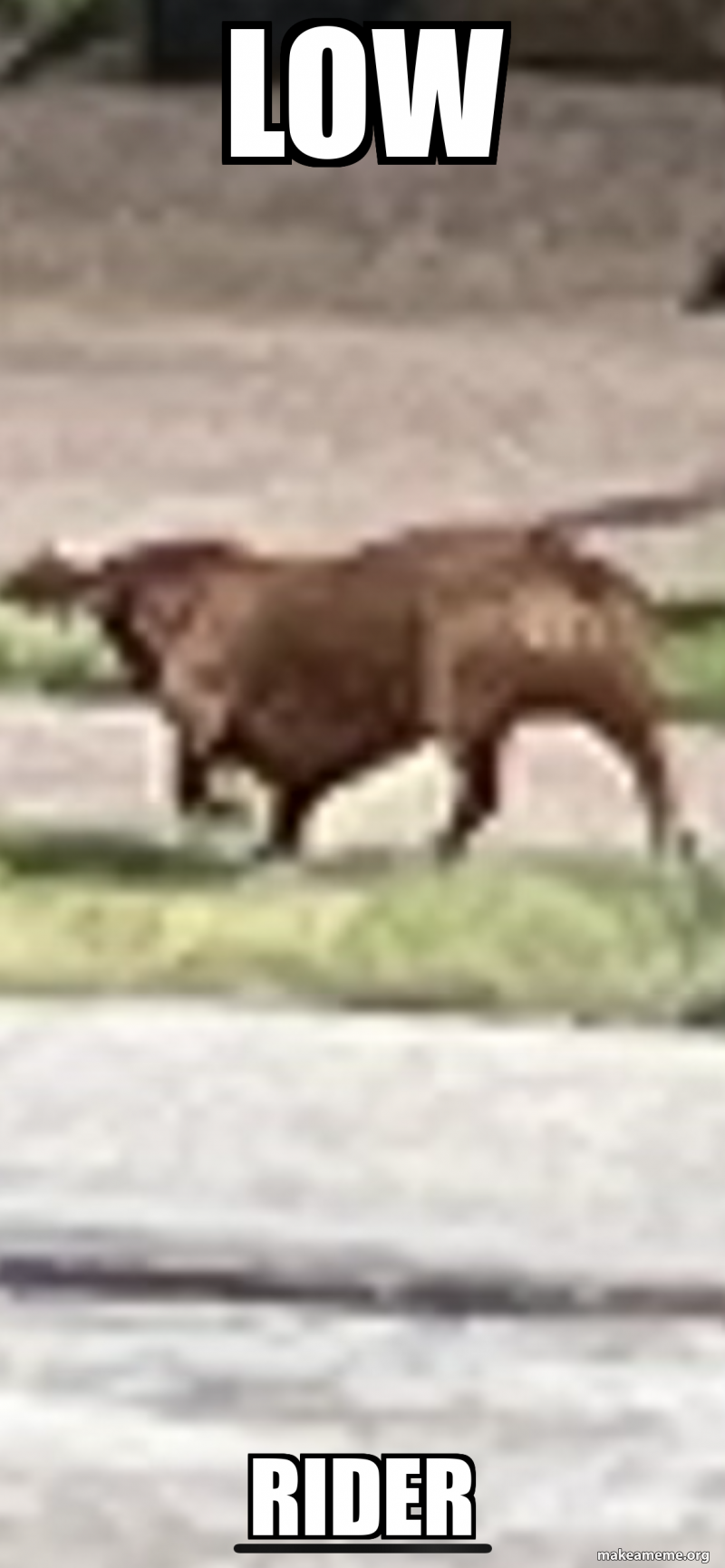 Low Rider Meme Generator