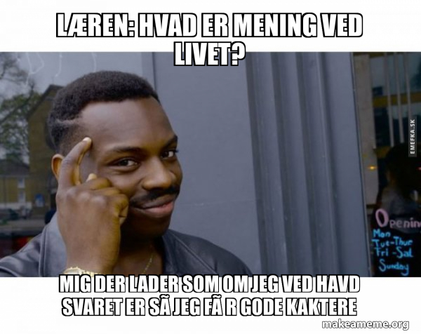 læren: hvad er mening ved livet? mig der lader som om jeg ved havd ...