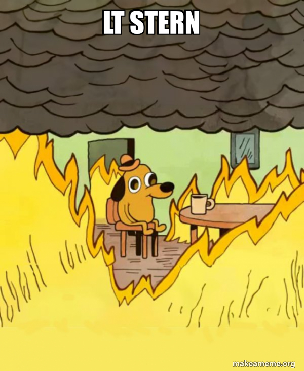 LT Stern - This Is Fine Meme Generator