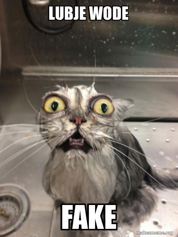 lubje wode fake - Cat bath Meme Generator