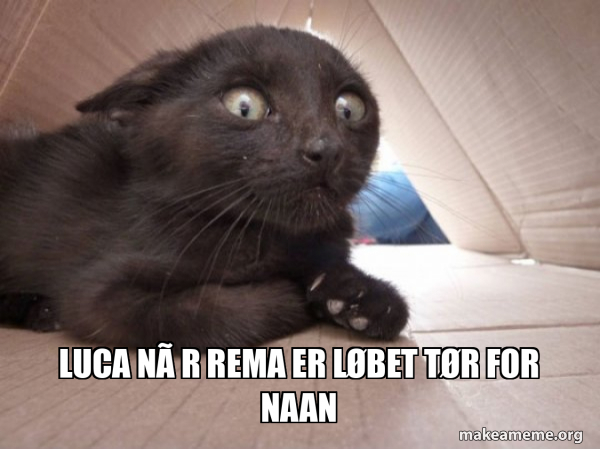 Luca når Rema er løbet tør for naan - Schitzo Cat Meme Generator