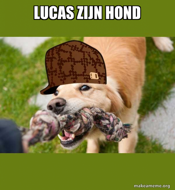 lucas zijn hond - Scumbag dog Meme Generator